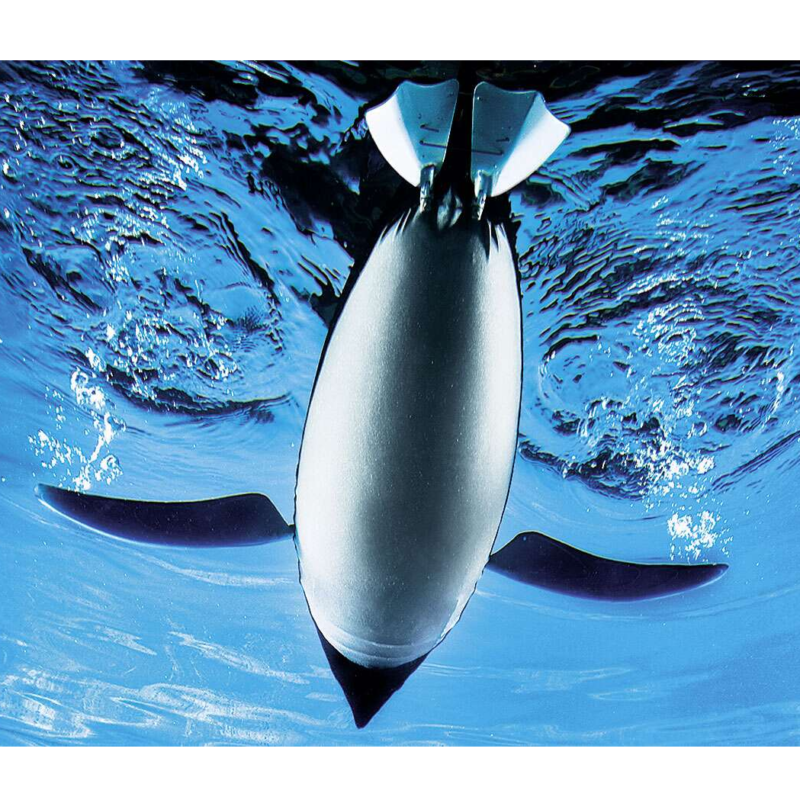 Biomimétisme robot penguin AquaPenguins Festo, navigation autonome ...
