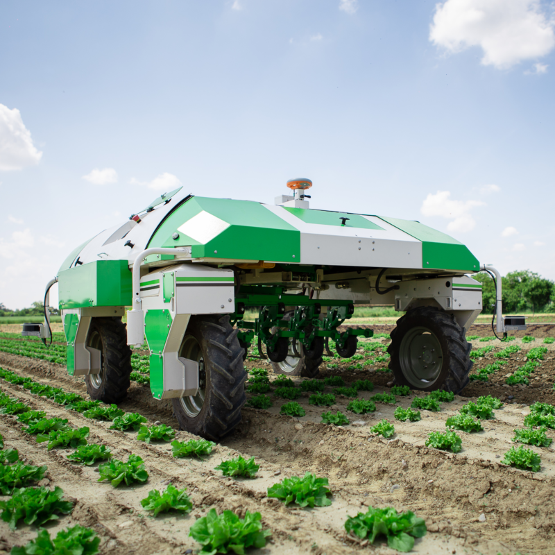Robot agricole désherbage légumes mécanique Dino Naïo Technologies ...