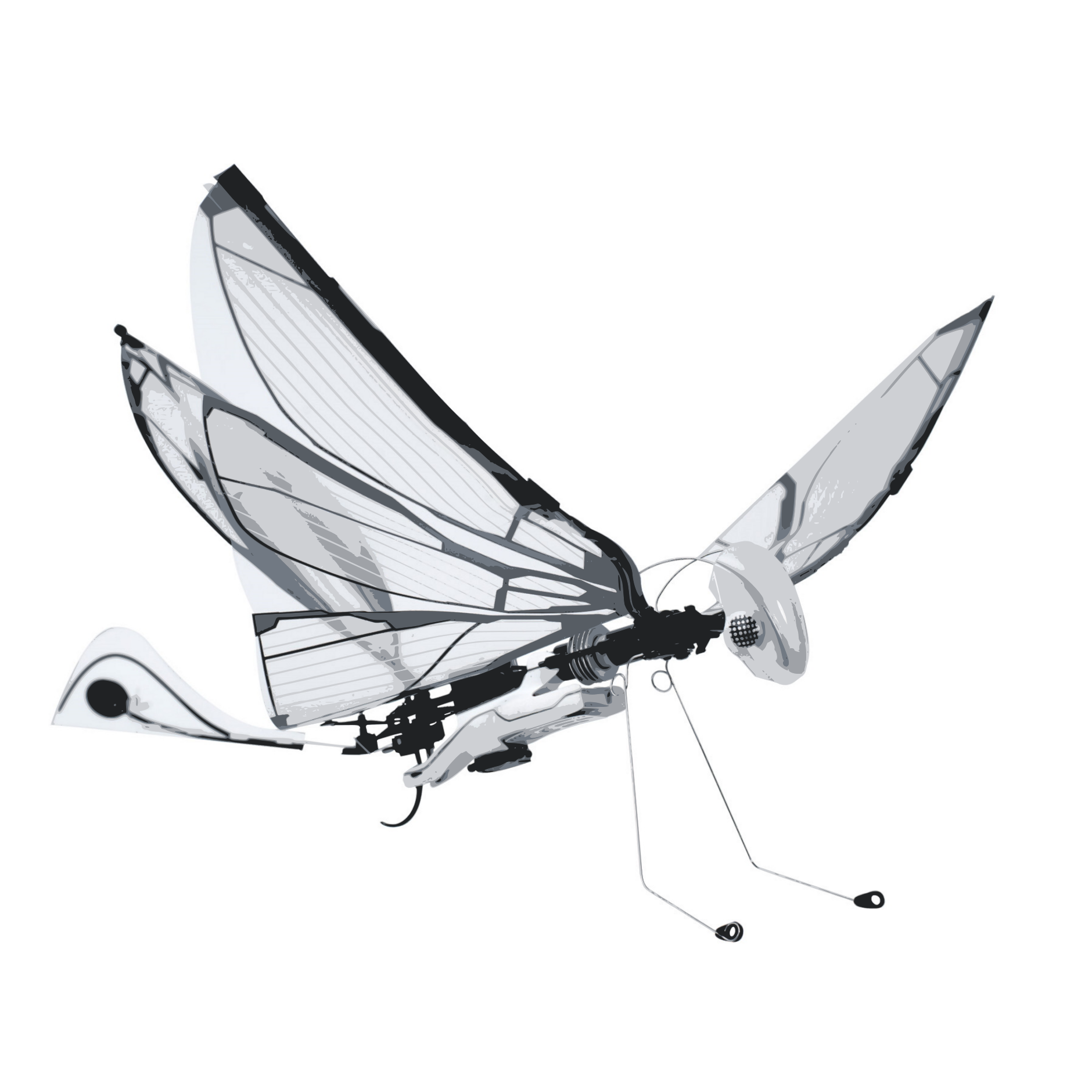 Robot Biomimétisme - Leobotics